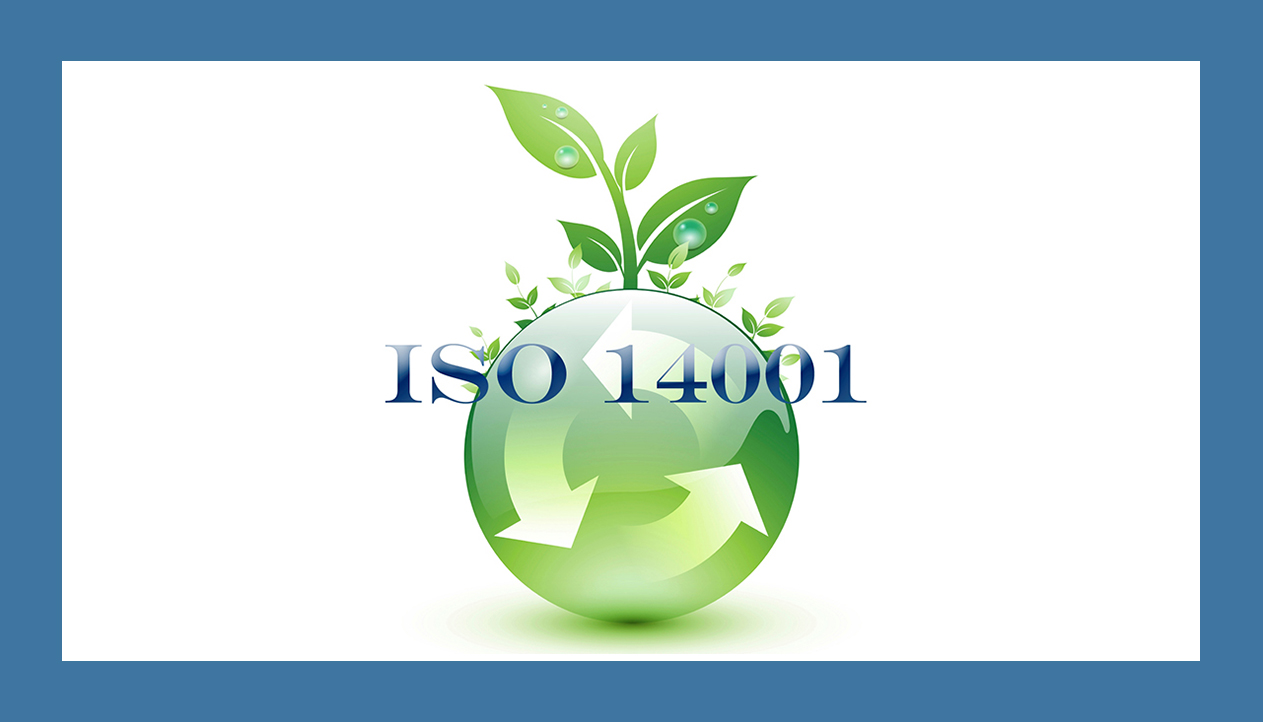 Environnement | AMP CONSEILS QSE